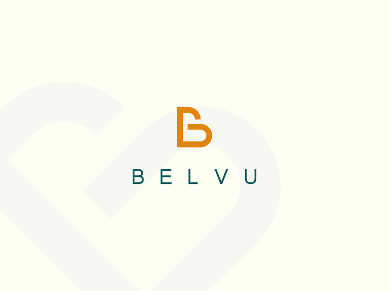 BELVU: Designing a Modern Brand Identity – picmatic.digital