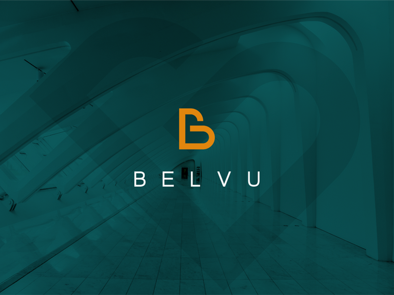 BELVU: Designing a Modern Brand Identity – picmatic.digital